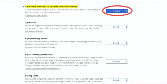 How to run Angular over HTTPS on localhost